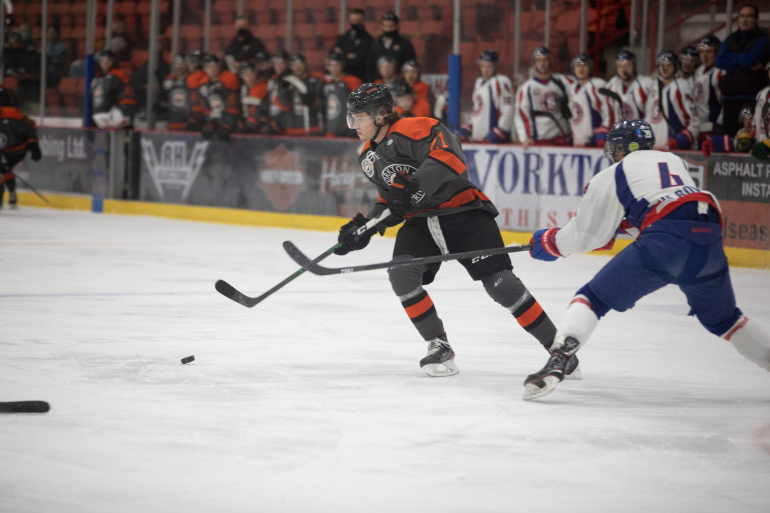 Terriers Winning Streak Snapped | Yorkton Terriers