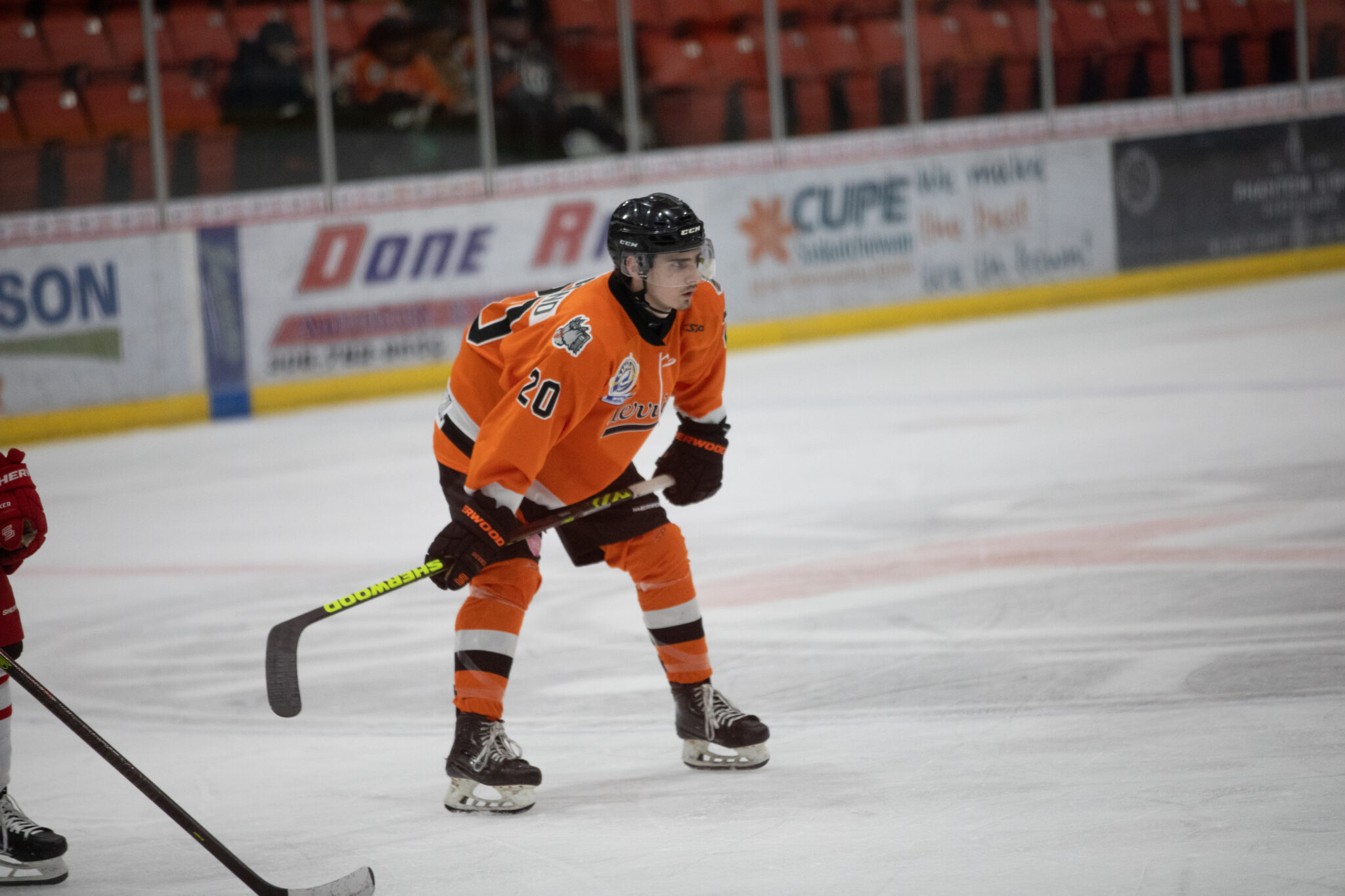 Yorkton Terriers