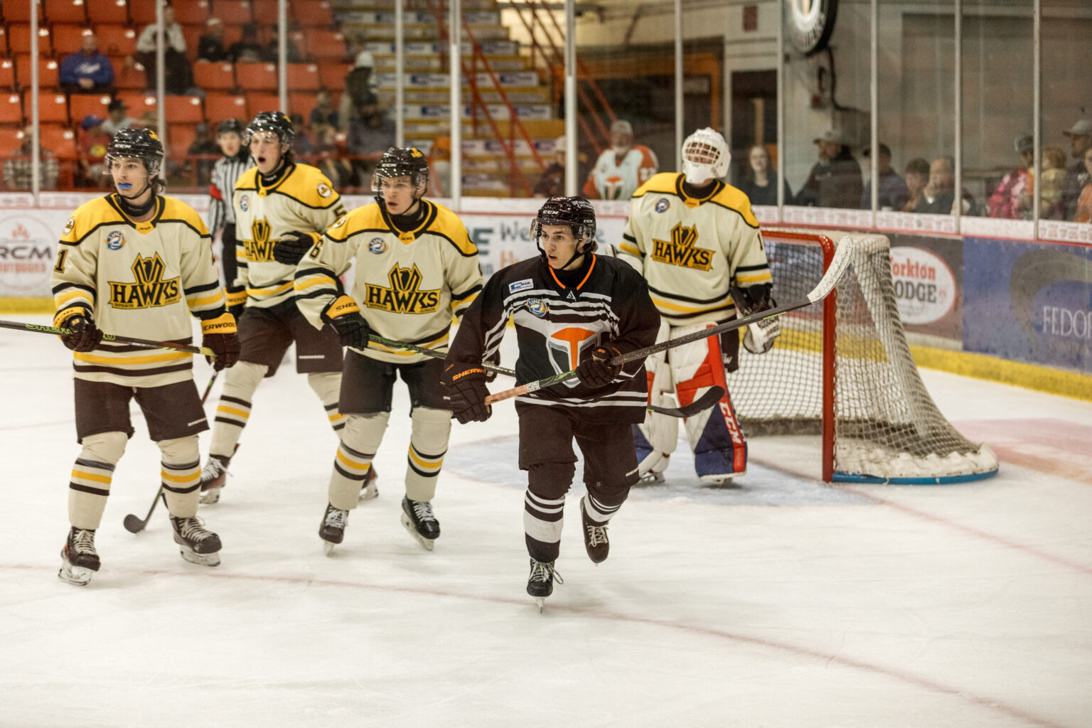Yorkton Terriers