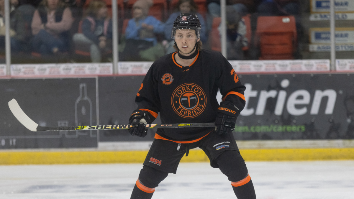 Léonard Scores Four, Terriers Storm Back on Hawks | Yorkton Terriers